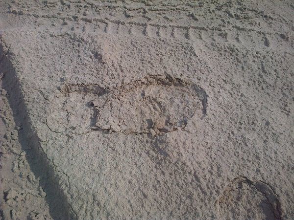 GC43TWH Sabkha- Abu Dhabi (Earthcache) in United Arab Emirates created ...