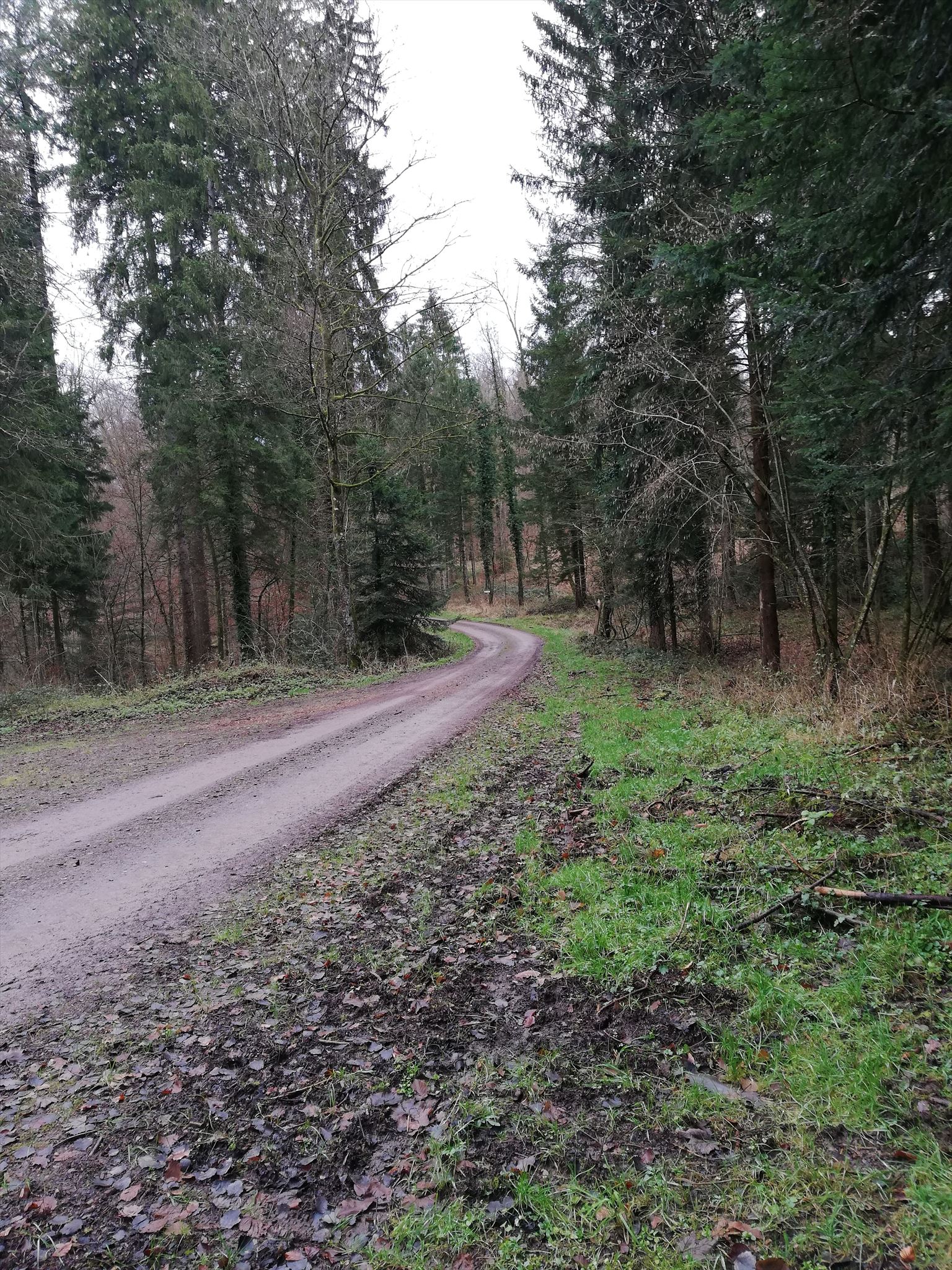 GC8HYHA #9 - Stadtwaldrunde - Teufelsbrückleweg (Traditional Cache) in ...