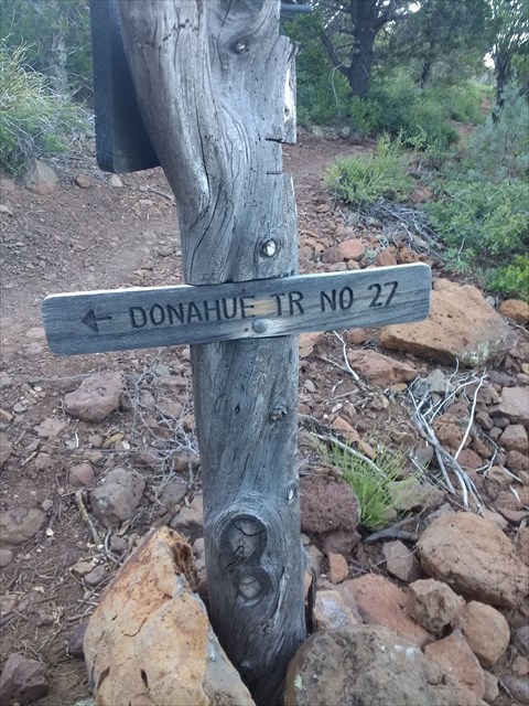 GC8VA5D Donahue Trail Cache (Traditional Cache) in Arizona, United ...