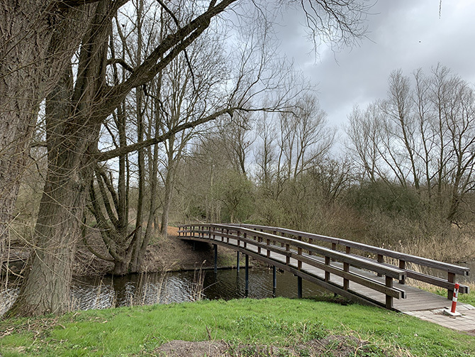 GC984Y9 Het Ruige Riet (Traditional Cache) in Noord-Holland ...