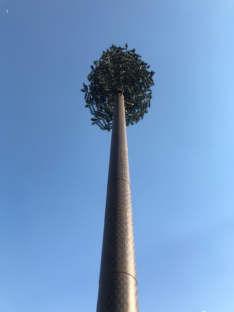 GC8FN47 Disguised Cell Phone Tower - Jhb 2 - Trinity View (Traditional ...