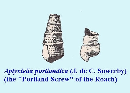 GC7RYJ1 Portland Roach, Weymouth Harbour (Earthcache) in Southern ...