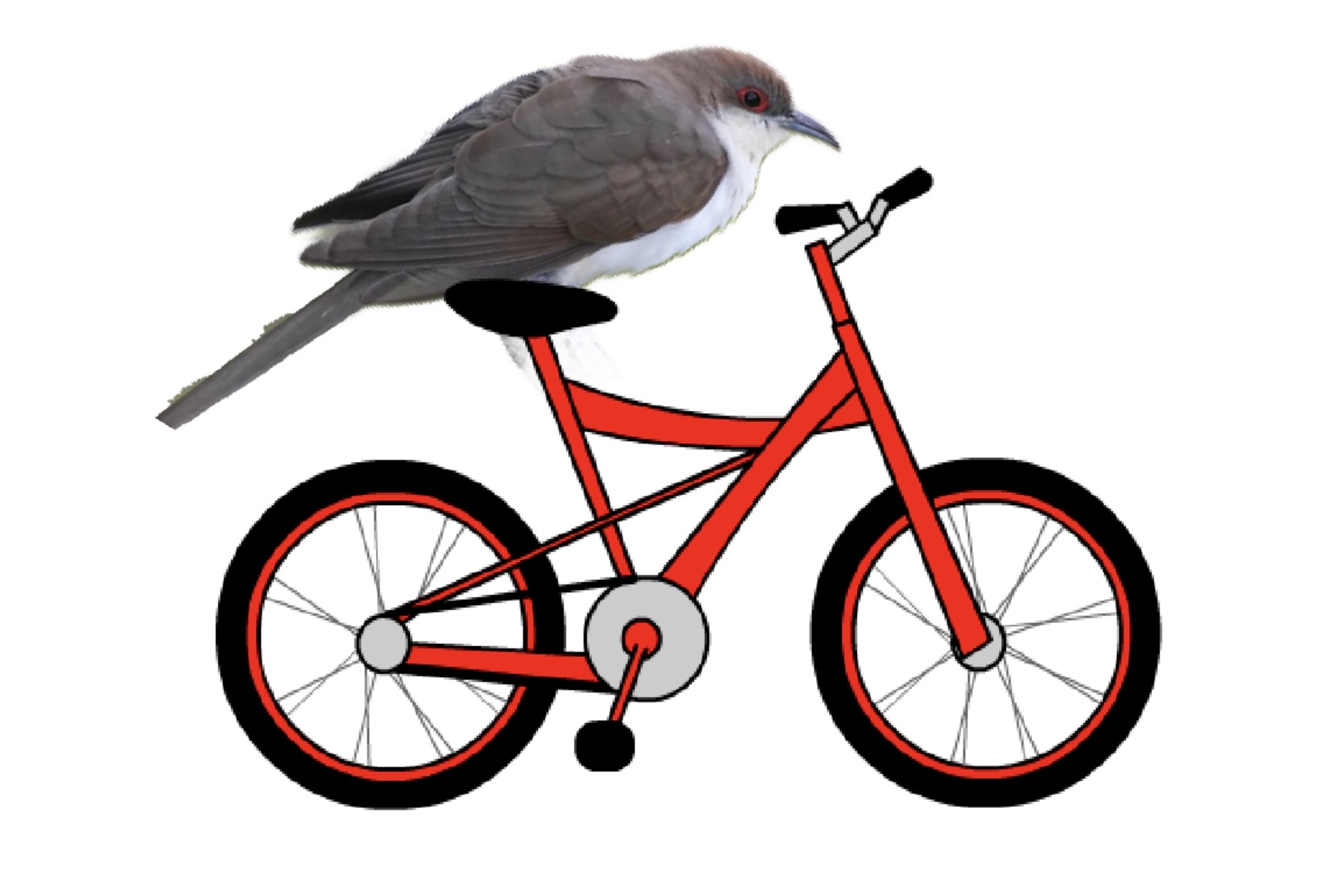 GC8HVAF Cuckoo (Birds on Bikes Series) (Traditional Cache) in Ontario ...