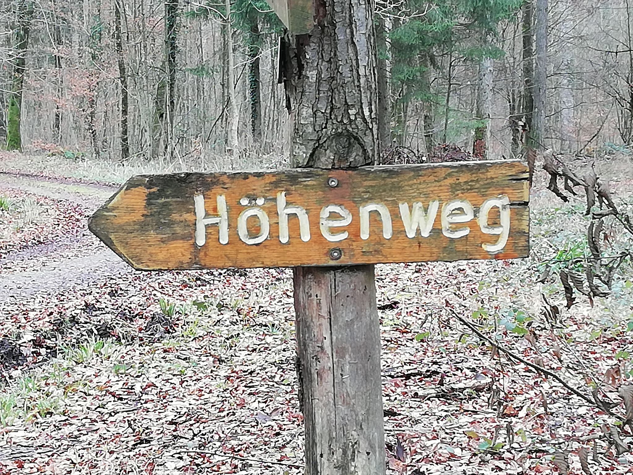 GC8HYG8 #6 - Stadtwaldrunde - Höhenweg (Traditional Cache) in Baden ...