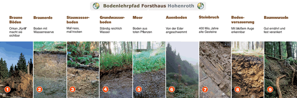 GC6XF1F Bodenlehrpfad Forsthaus Hohenroth (Earthcache) in Nordrhein-Westfalen, Germany created ...