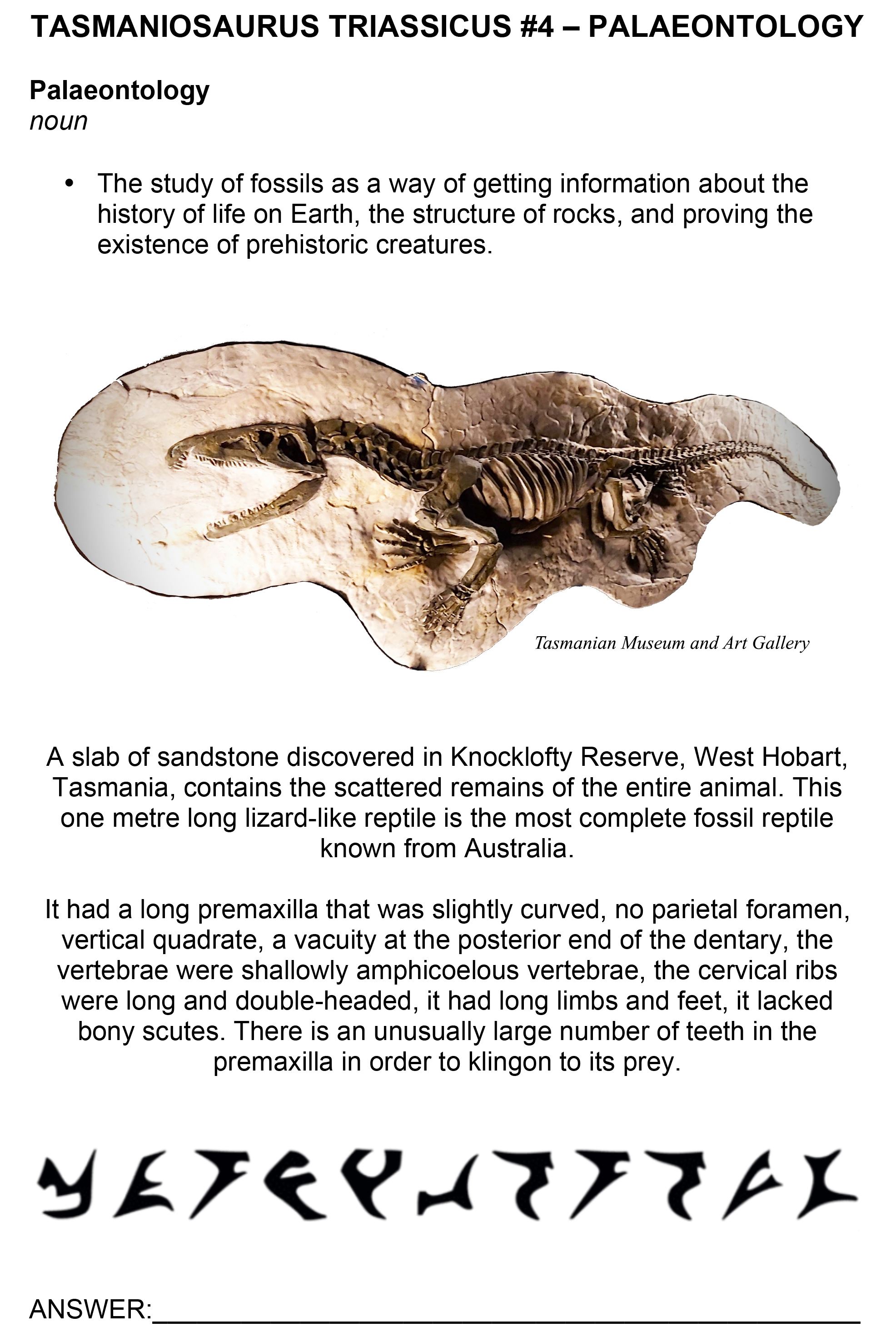GCABQTN Tasmaniosaurus Triassicus (Unknown Cache) in Tasmania ...