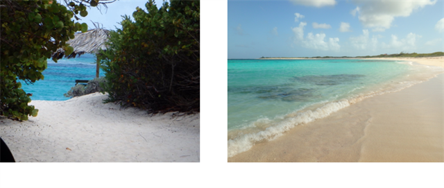 GC6CA1B Loblolly Bay – Crenulated Beauty in a Drowned Land (Earthcache ...