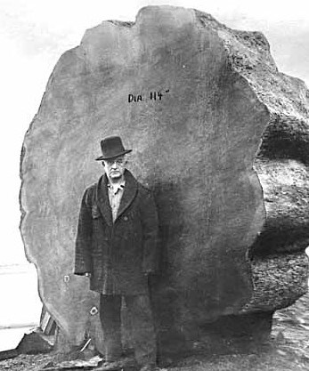 GC6XDA0 George Gordon Abernethy (Unknown Cache) in British Columbia ...