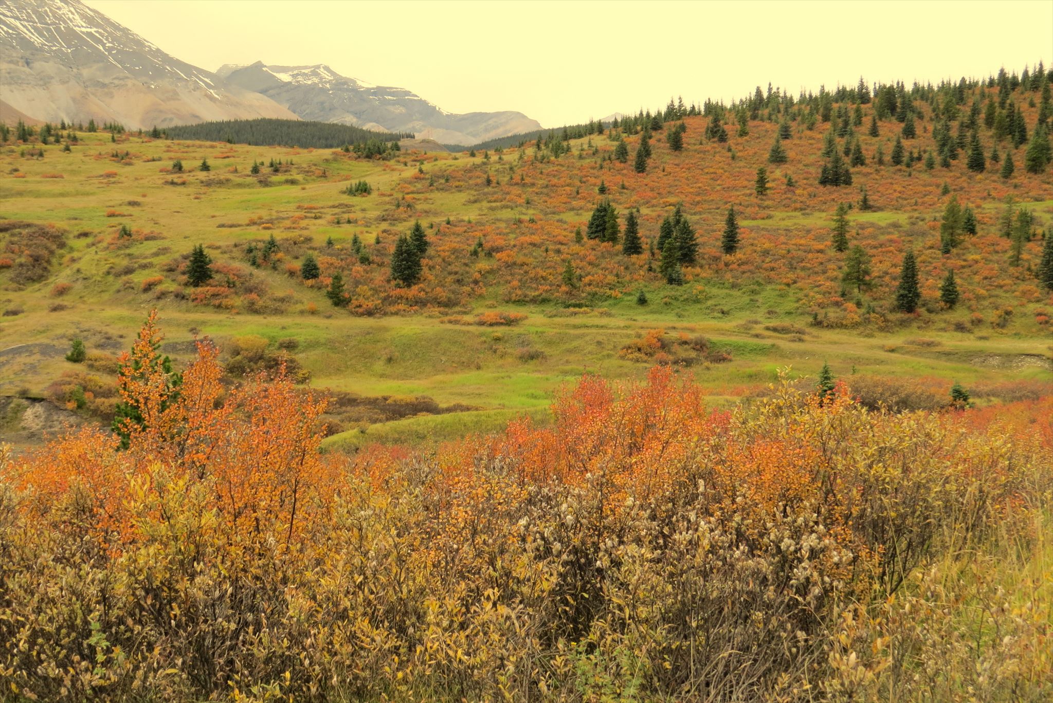 GC6T78M Mount MacKenzie Viewpoint (Traditional Cache) in Alberta ...
