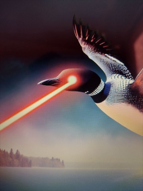 GCAJ26X Flight of the Laser Loon (Unknown Cache) in Minnesota, United ...