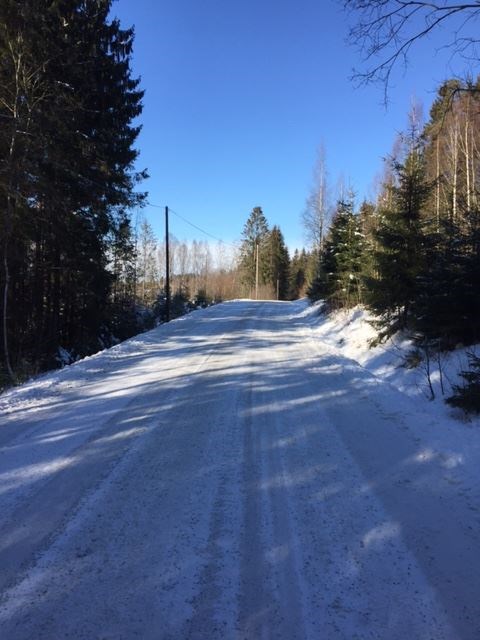 GC6C557 Rauerskauveien #5 (Traditional Cache) in Viken, Norway created ...
