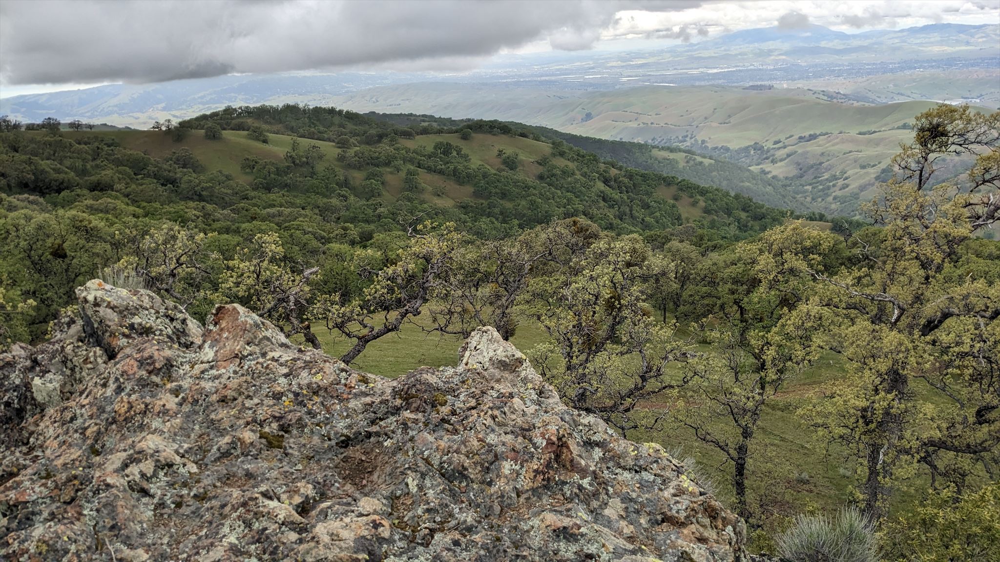 GCA885F Nifty 9 - Schlieper Rock (Traditional Cache) in California ...