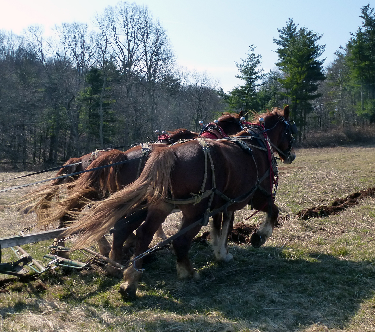 GC87MHZ Gee out - Haw in (Traditional Cache) in British Columbia ...