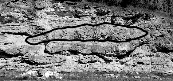 GC7MPBM Of Stromatolites and Bioherms (Earthcache) in Missouri, United ...