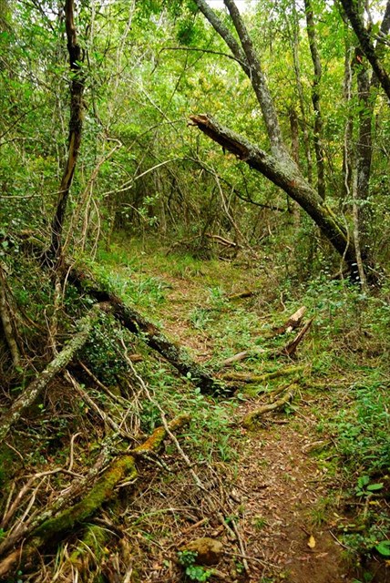 GC6BP5K inniKloof Nek (Traditional Cache) in Eastern Cape, South Africa ...
