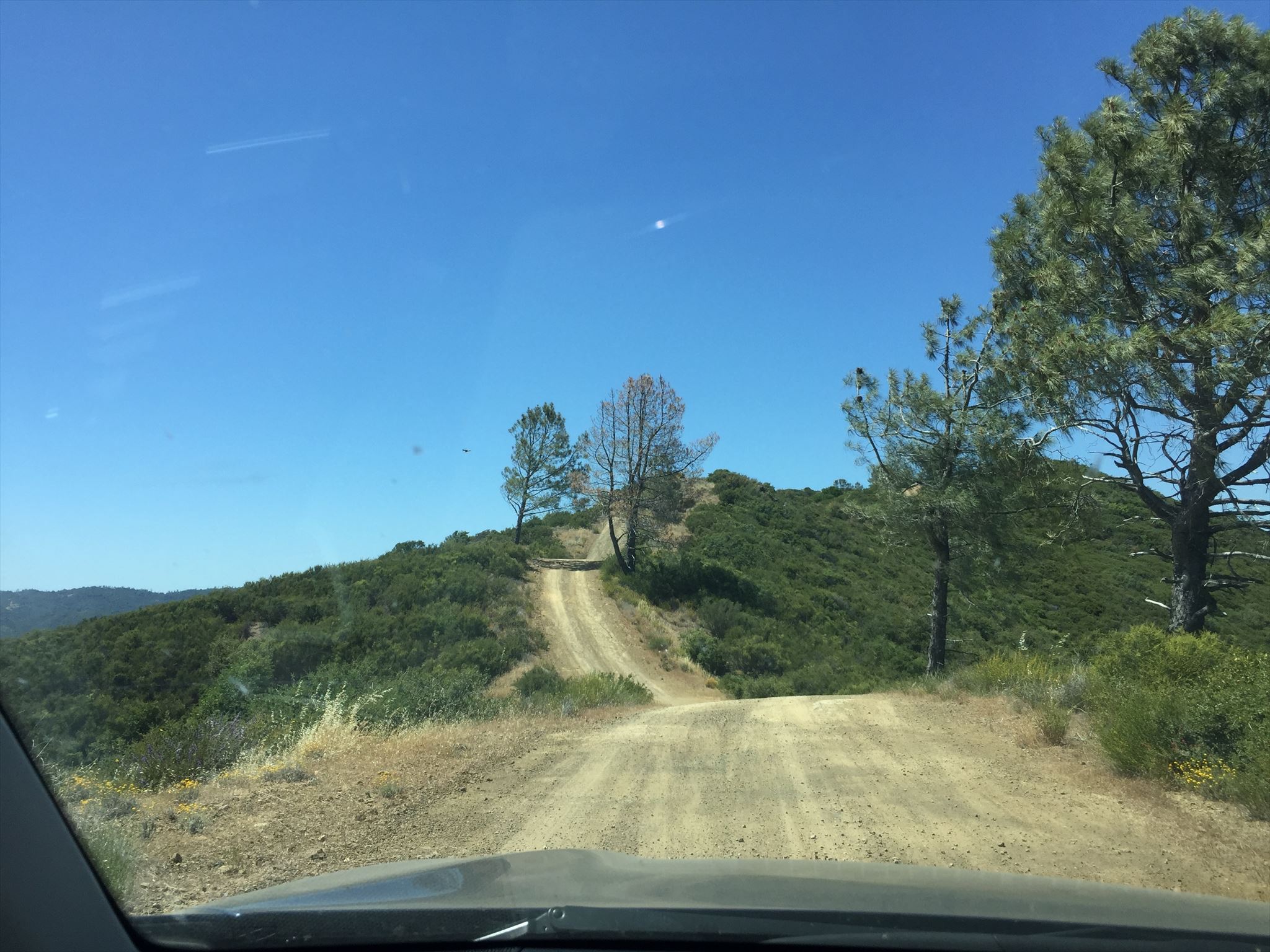 GC7QVDD South Coast Ridge Road (Traditional Cache) in California ...