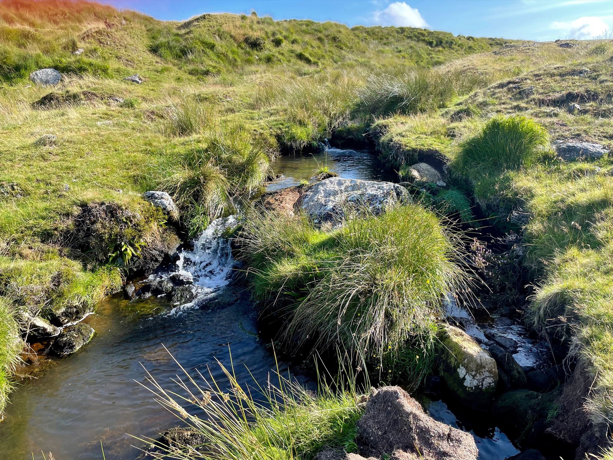 GC9GABK Upper Plym (Traditional Cache) in South West England, United ...