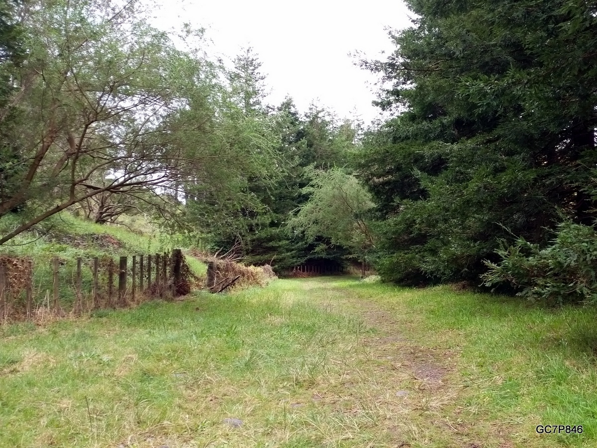 GC7P846 TRFU Secret Training Spot (Taranaki) (Traditional Cache) in ...