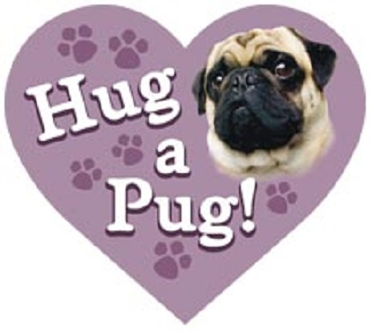 GC6B10T Hug The Pug (Traditional Cache) in Kentucky, United States ...