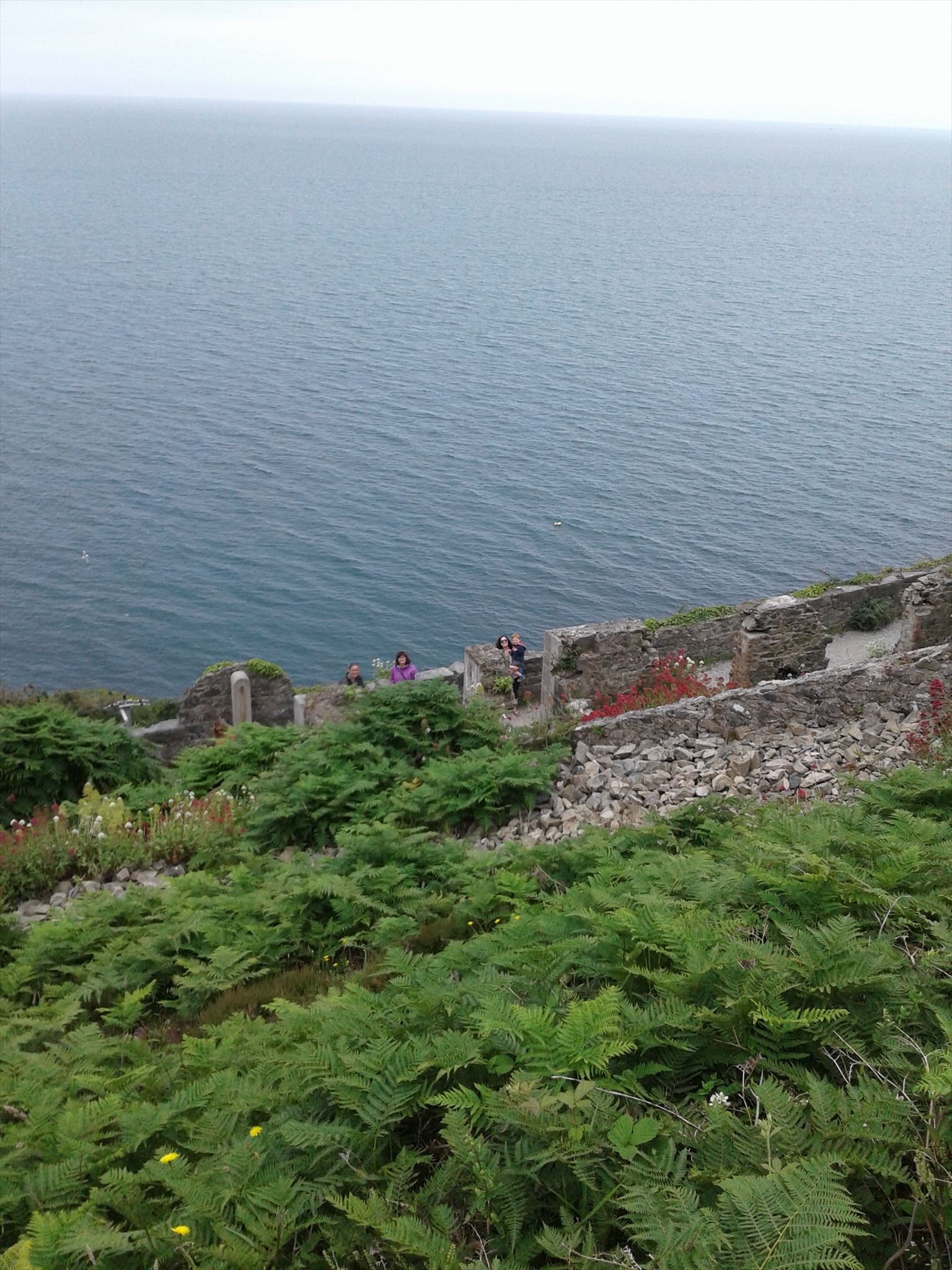 GC8HQ6P 🇮🇪 Ireland- EU CARW2020 (Unknown Cache) in Alberta, Canada ...