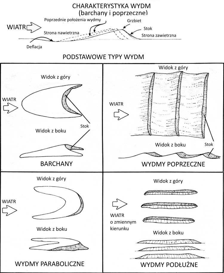 GC8HVGR Piaski legionowskie (Earthcache) in Mazowieckie, Poland created ...