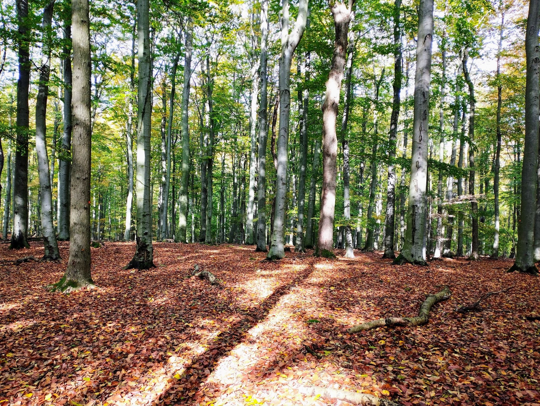 GCA10JK Človečia hlava (548 m n. m.) (Traditional Cache) in ...