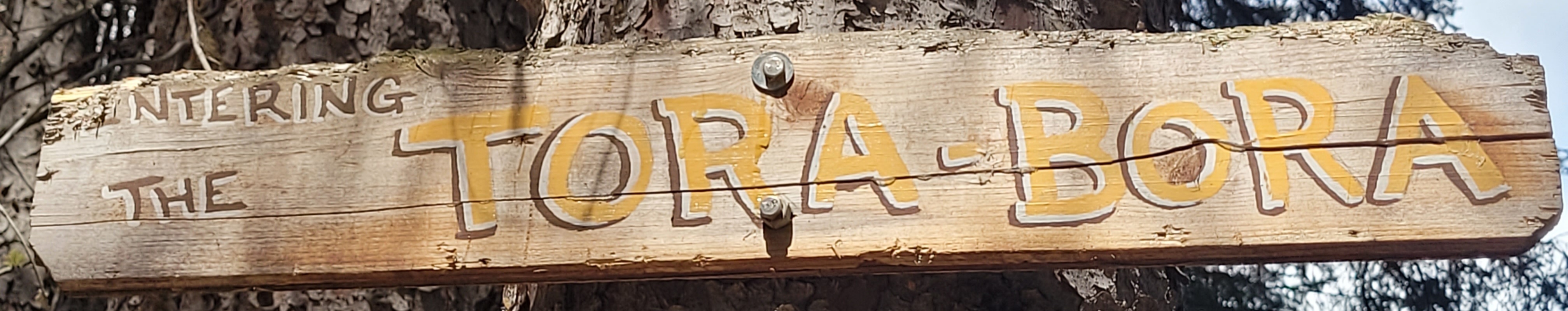 GCA92D9 Tora Bora (5.9) (Traditional Cache) in British Columbia, Canada ...