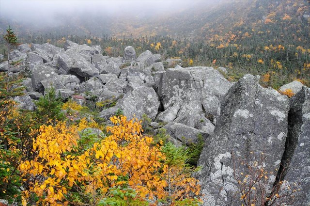 GC6RYBE King Ravine (Earthcache) in New Hampshire, United States ...