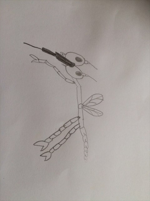 GC6GC9X De Billosaurus (Wout's verjaardags-event cache) (Traditional ...