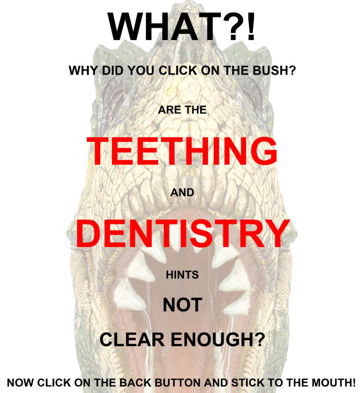 GCABQTN Tasmaniosaurus Triassicus (Unknown Cache) in Tasmania ...