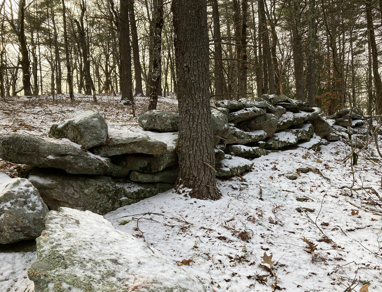 GC9QGKG MHG #1 - Multi Hunting Ground #1 (Multi-cache) in New Hampshire ...