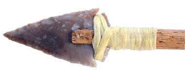 GC7M75P What is Chert? (Earthcache) in Florida, United States created ...