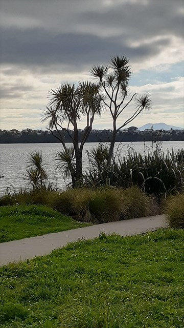 GC9HV43 Lake Pupuke Meandering Multi (Auckland) (Multi-cache) in North ...