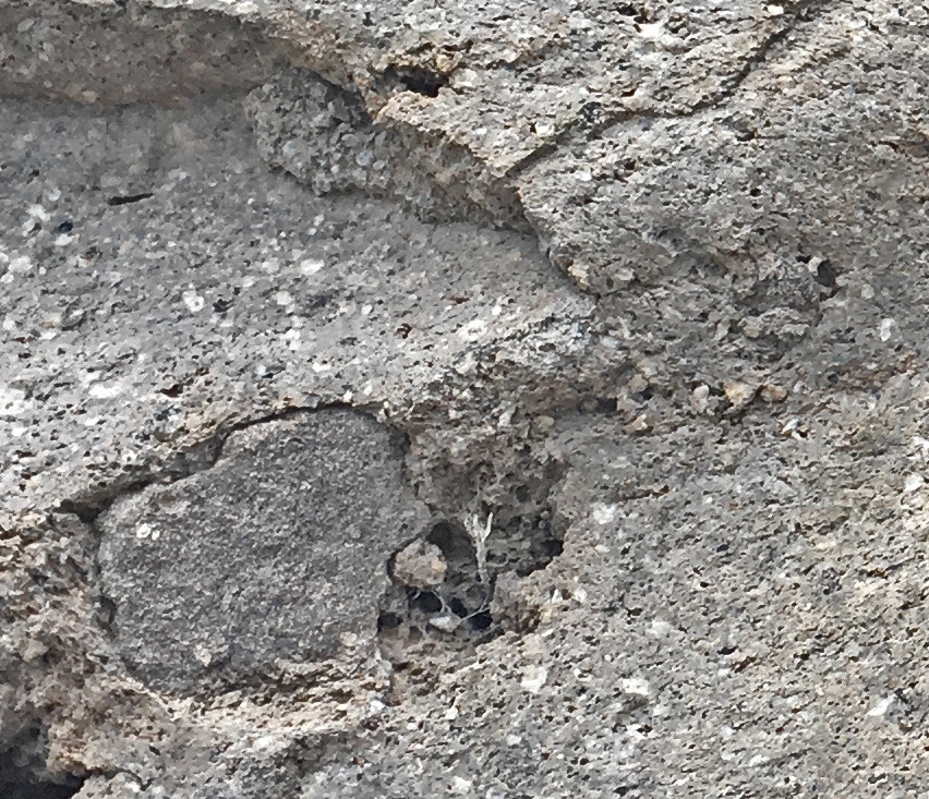 GC7VPNC Andesite lava with volcanic bombs in Egina (Earthcache) in ...