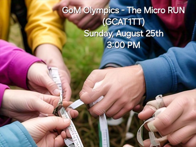GCAT1TT GoM Olympics - The Micro RUN (Event Cache) in Minnesota, United ...