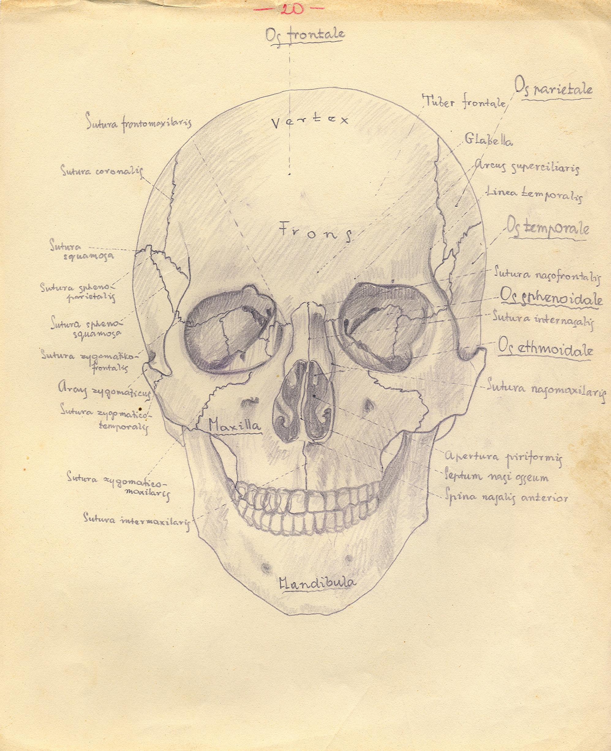GC7F1NY Oldrich Pokorny - tabornik a lyzar (052) (Unknown Cache) in ...