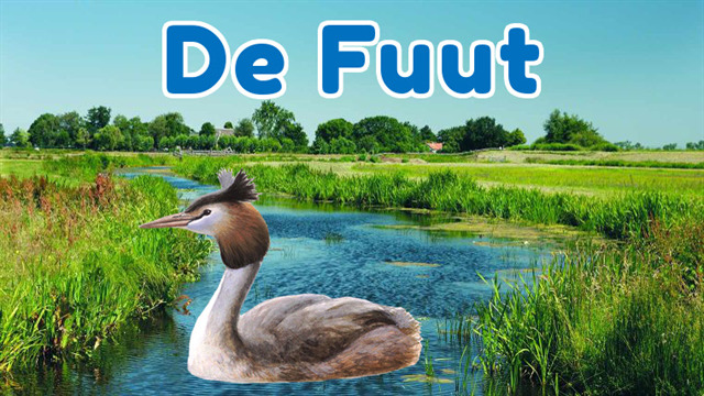 GC971WN De Fuut | Reeuwijkse Turf Serie (Traditional Cache) in Zuid ...