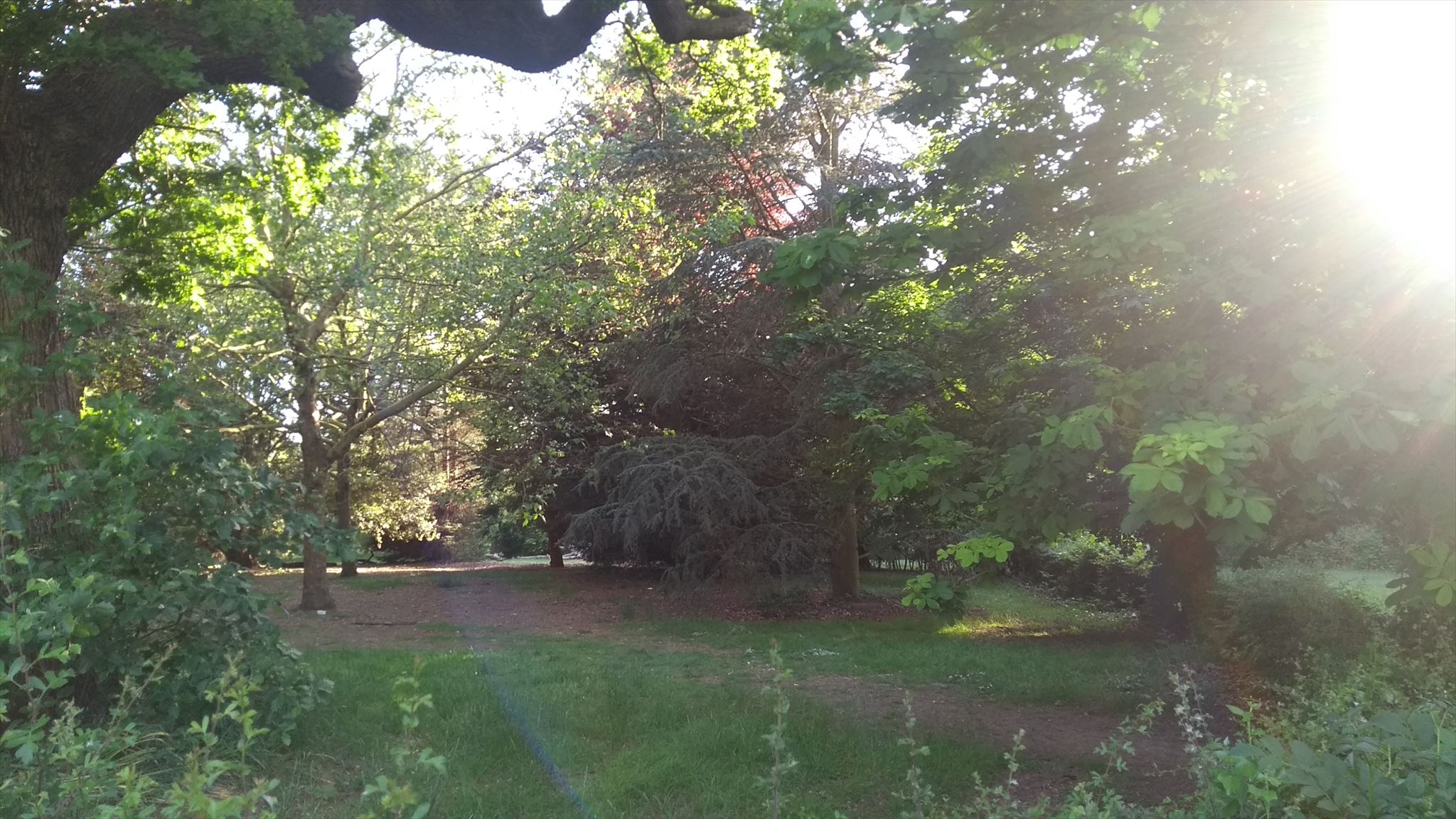 GC8R50Y Danson Park - Clamber (Traditional Cache) in London, United ...