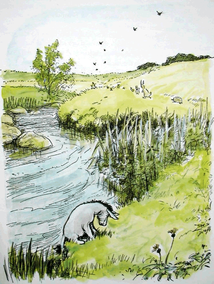 GC827W7 100 Aker Wood: Big stones and rox (Taranaki) (Traditional Cache ...