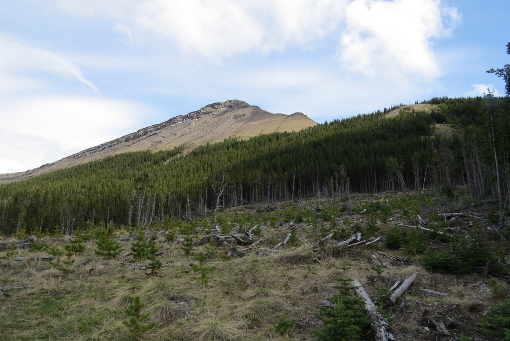 GC6JAY0 Isola Peak Summit (Traditional Cache) in Alberta, Canada ...