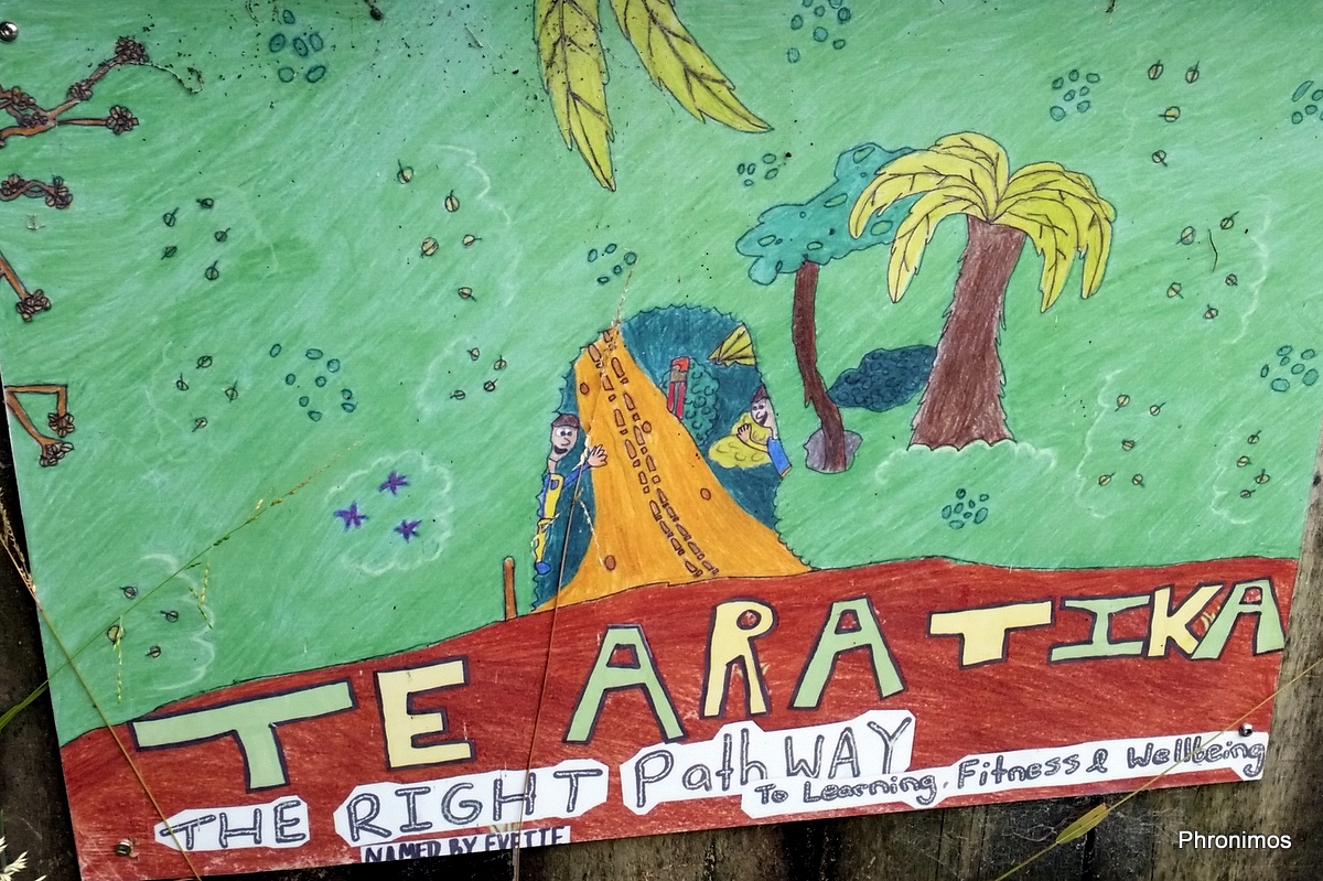 GC6YY3X Te Ara Tika rua (Taranaki) (Traditional Cache) in North Island ...