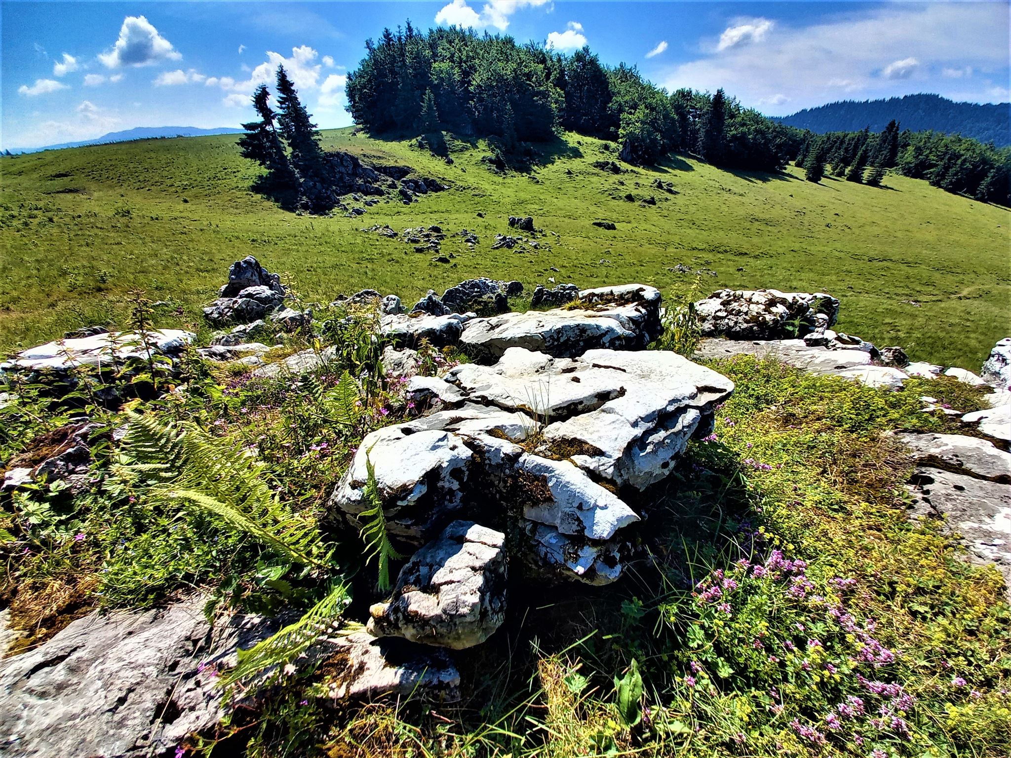 GC9DV8X Škrapové pole pod Chyžkami (Traditional Cache) in Žilinský kraj ...
