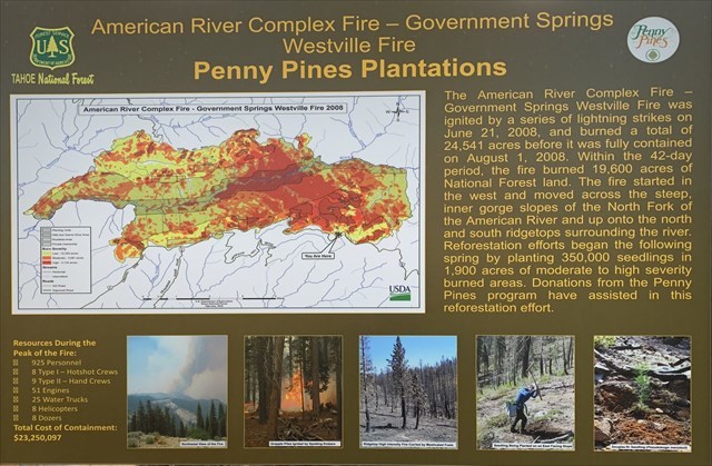 GC9CBA0 Penny Pines Plantations (Traditional Cache) in California ...