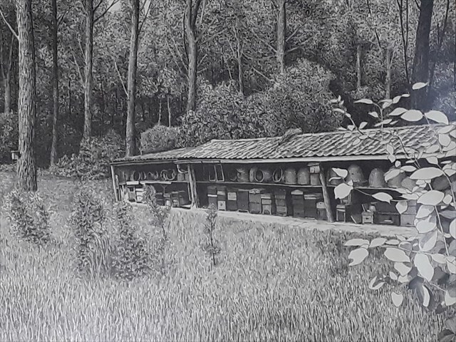 GC88E2Z Heesbeemd #8 Bijenhal (Traditional Cache) in Limburg ...