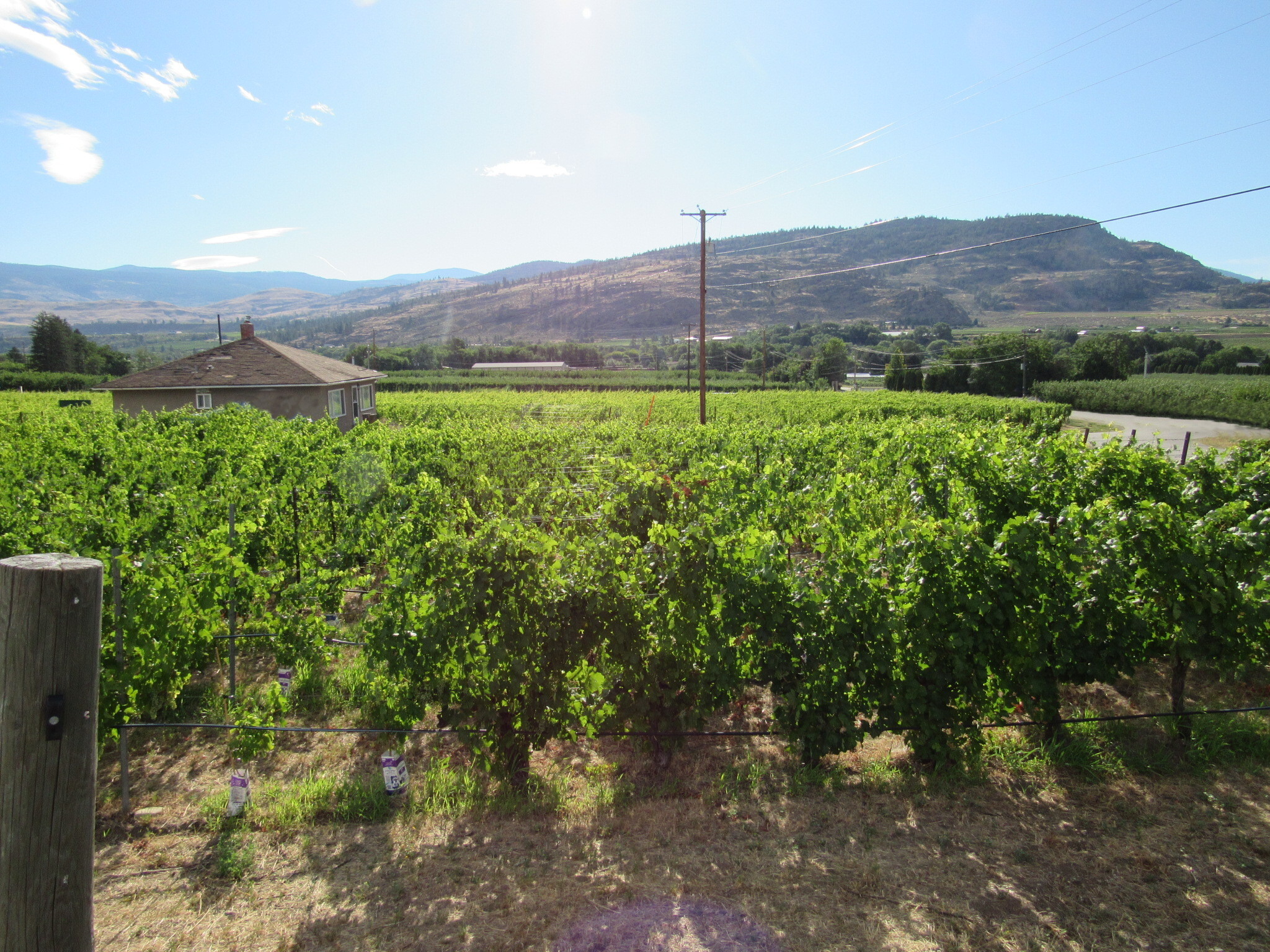 Intersection Estate Winery - Oliver, British Columbia - Named Farms and ...