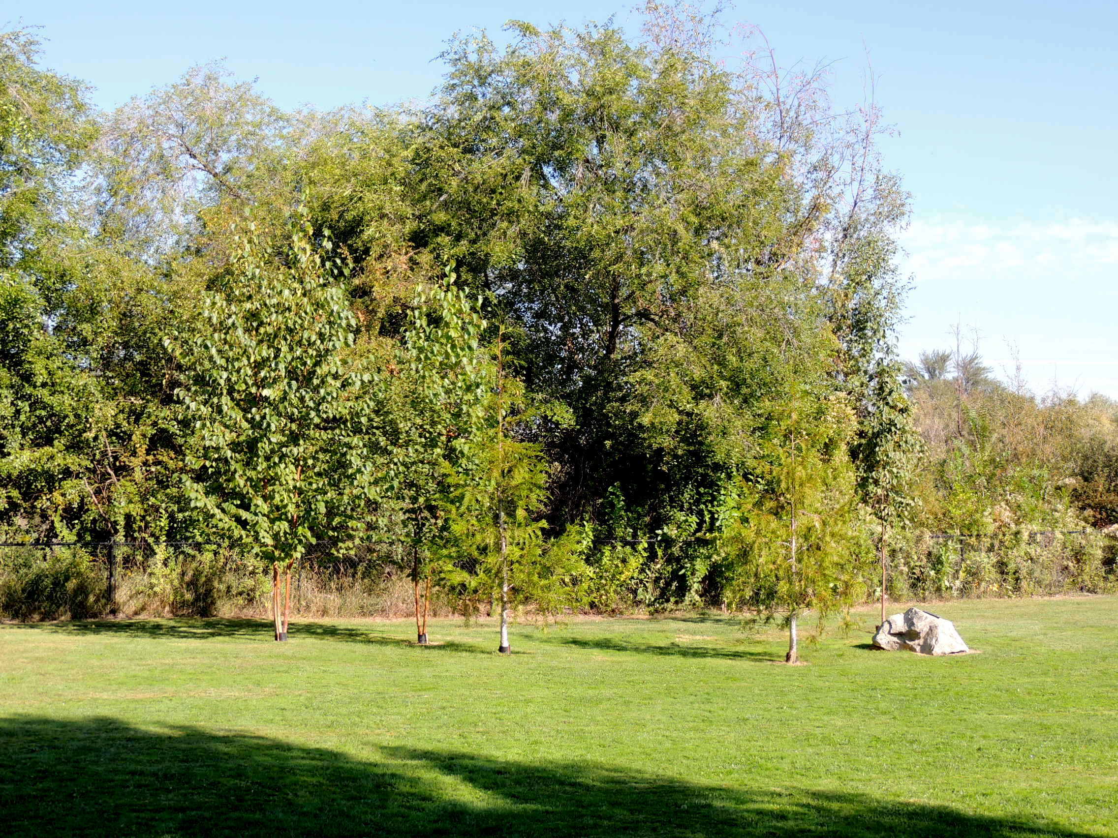 150th Anniversary of Canada - Oliver, British Columbia - Community ...