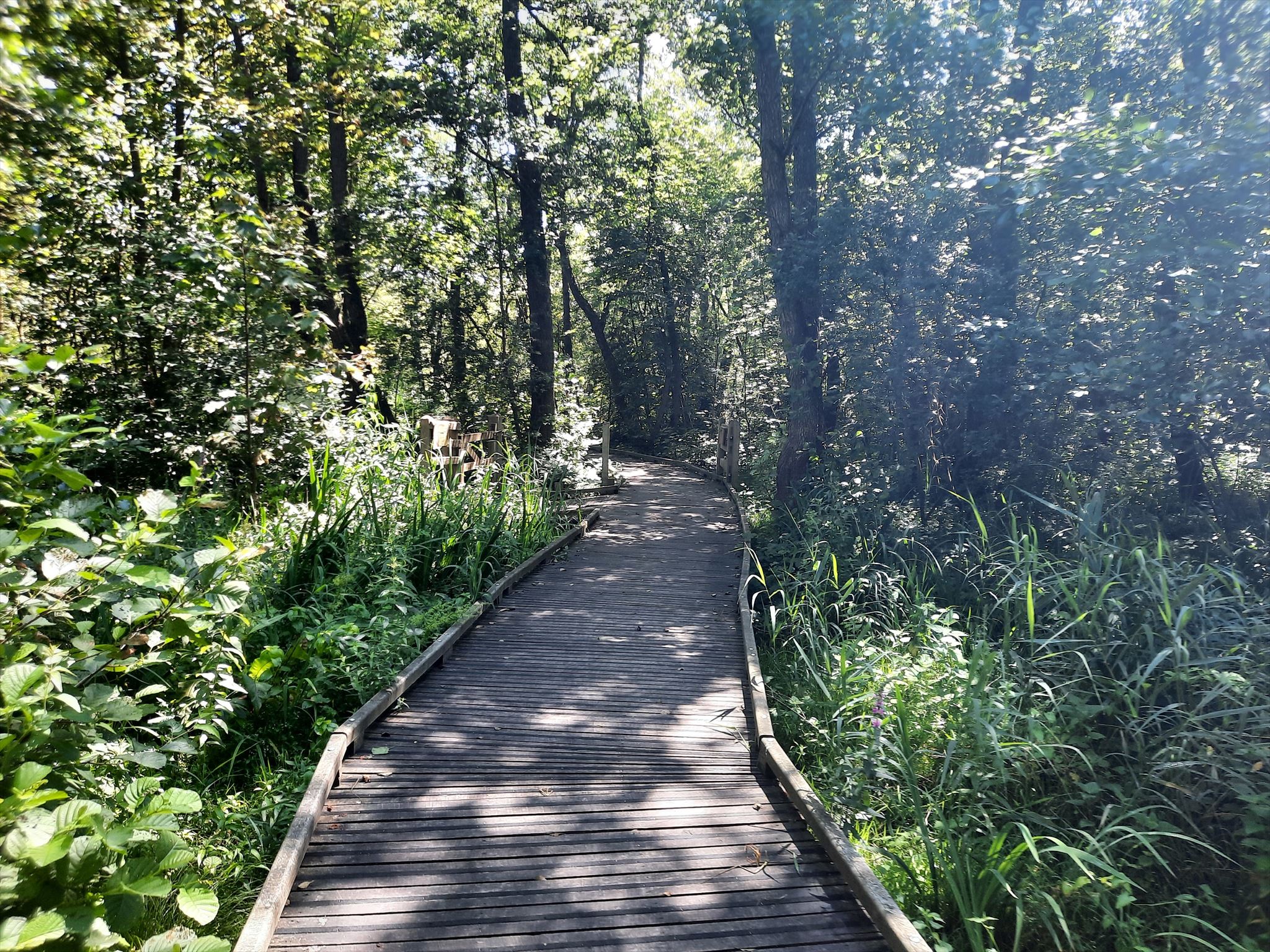 Sentier du Marais - Condette, France - Non-Coastal Boardwalks on ...