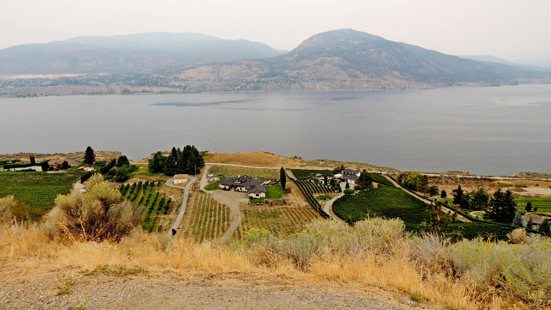 Iconic Penticton sign getting a makeover - Penticton, British Columbia ...