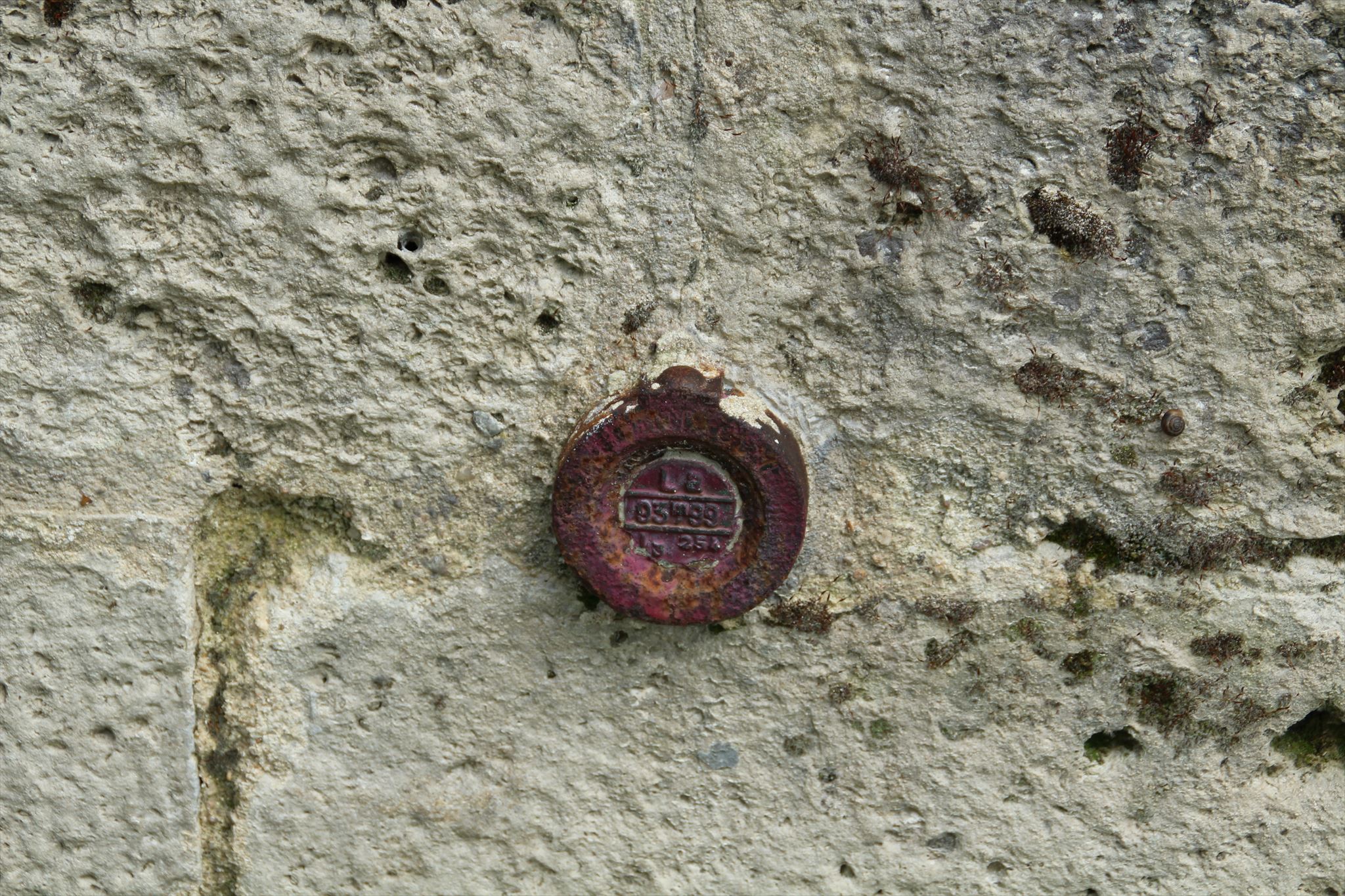 Benchmark - Repère de Nivellement - Église Saint-Pierre-et-Saint-Paul - Chambry, France - French ...