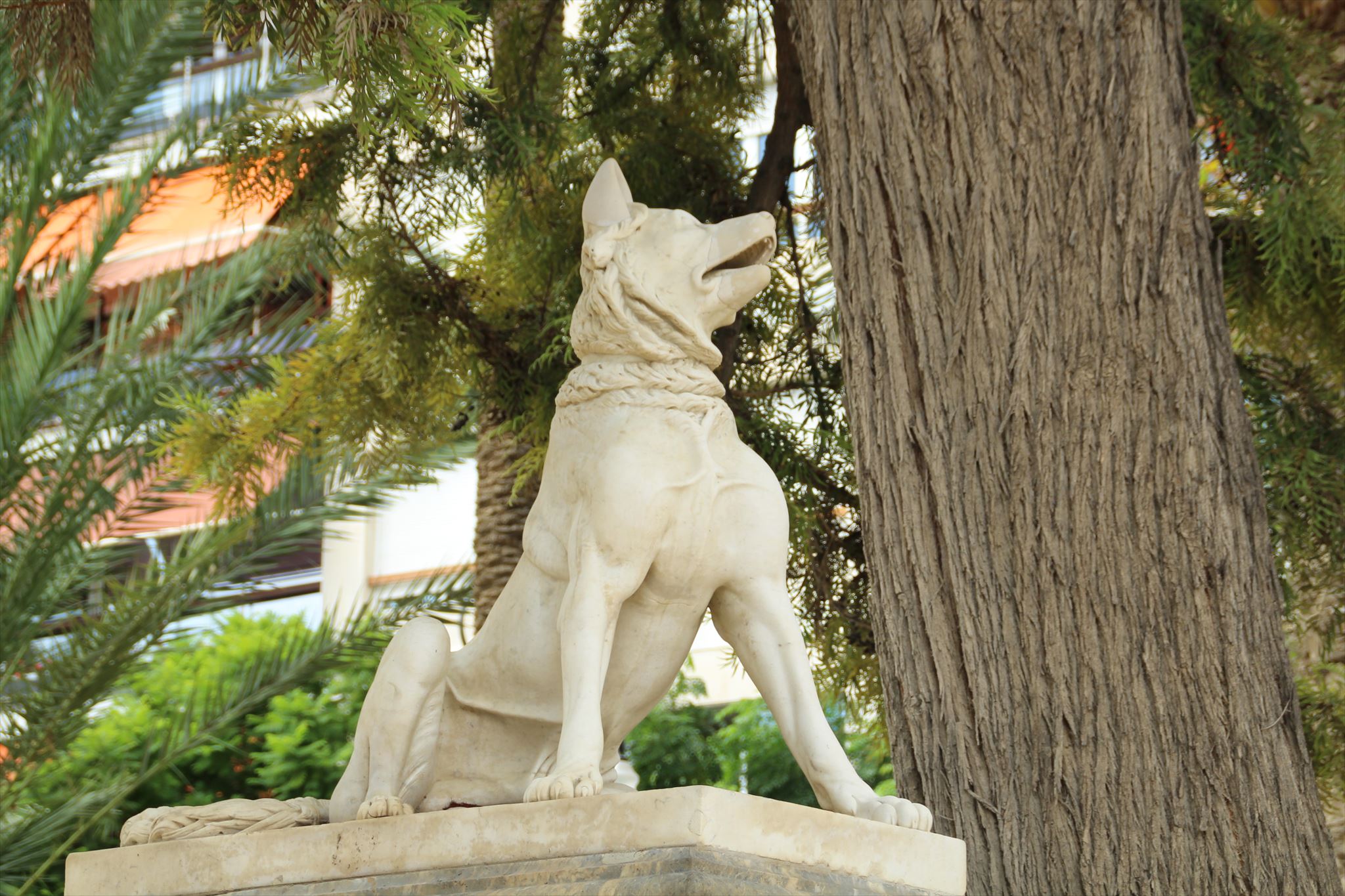 A pair of dogs - Alicante, Spain - Dog Statues on Waymarking.com